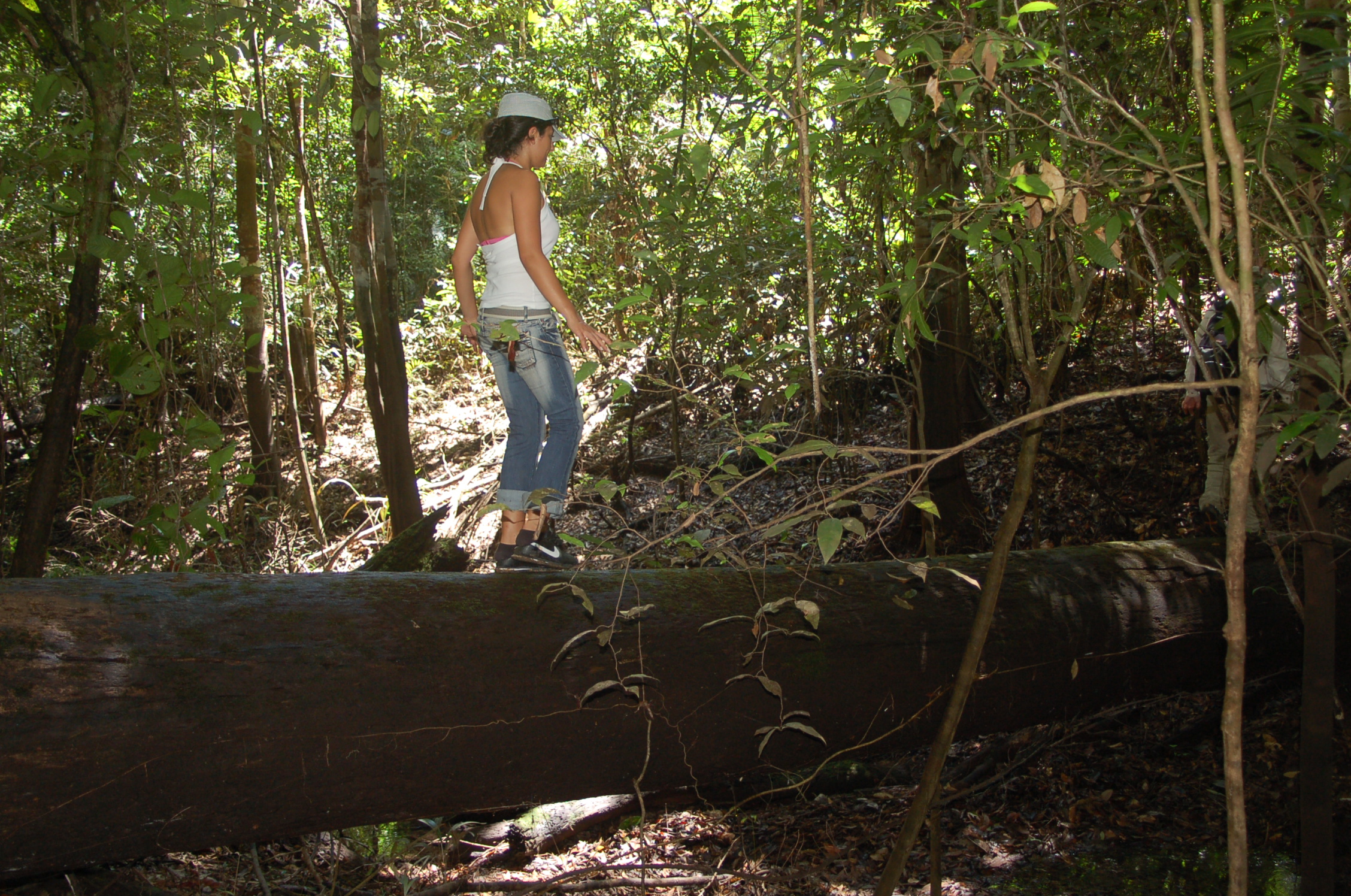 Amazon Jungle Lodge & Farm Juma Lake Inn